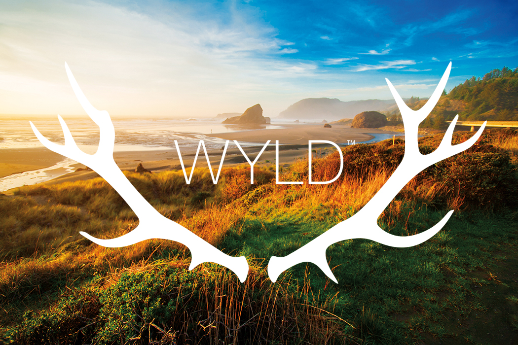 Vendor Spotlight: Wyld | Wayne Releaf